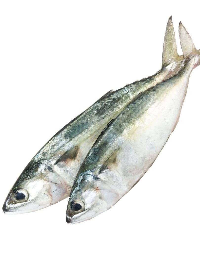 INDIAN MACKERAL FISH 1KG | ChapMart | Online Marketplace for Fast ...